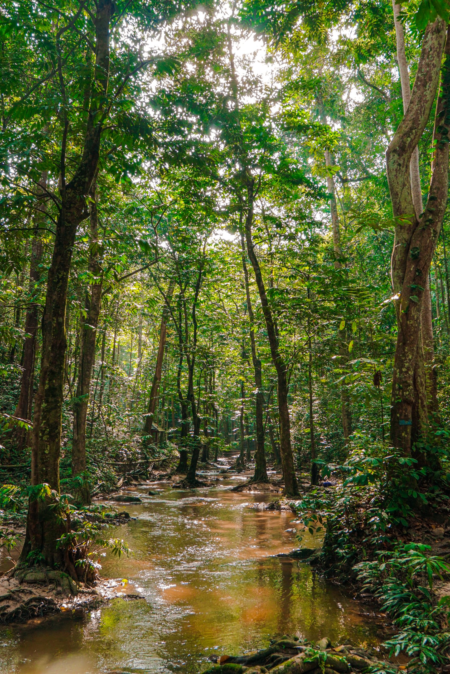 The 10 unique geopark sites in Selangor – ParGolf